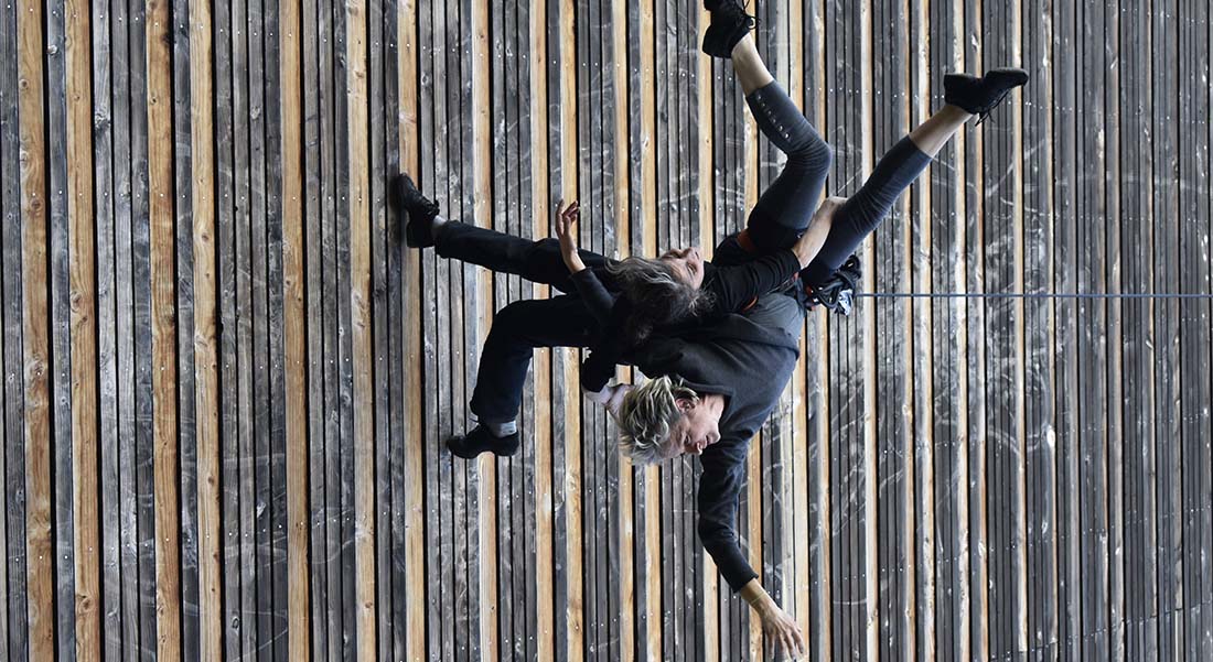 La Danse verticale en kit