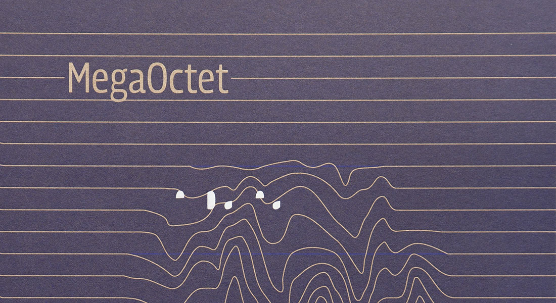 MegaOctet, Verbateam